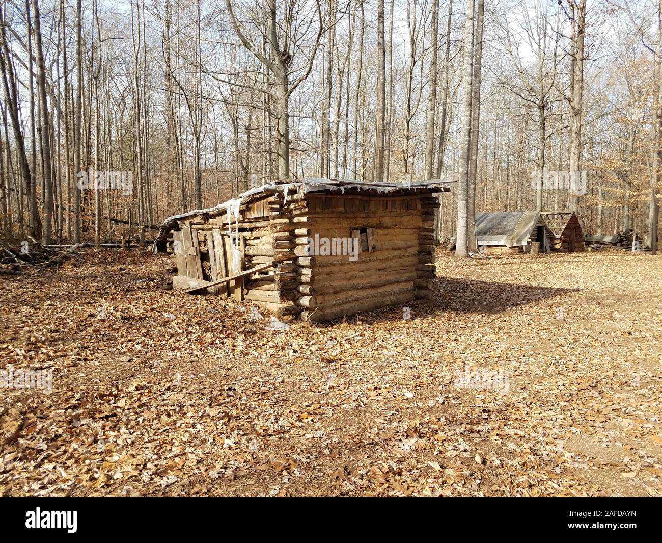 wood or log cabin building or structure in the forest or woods Stock ...