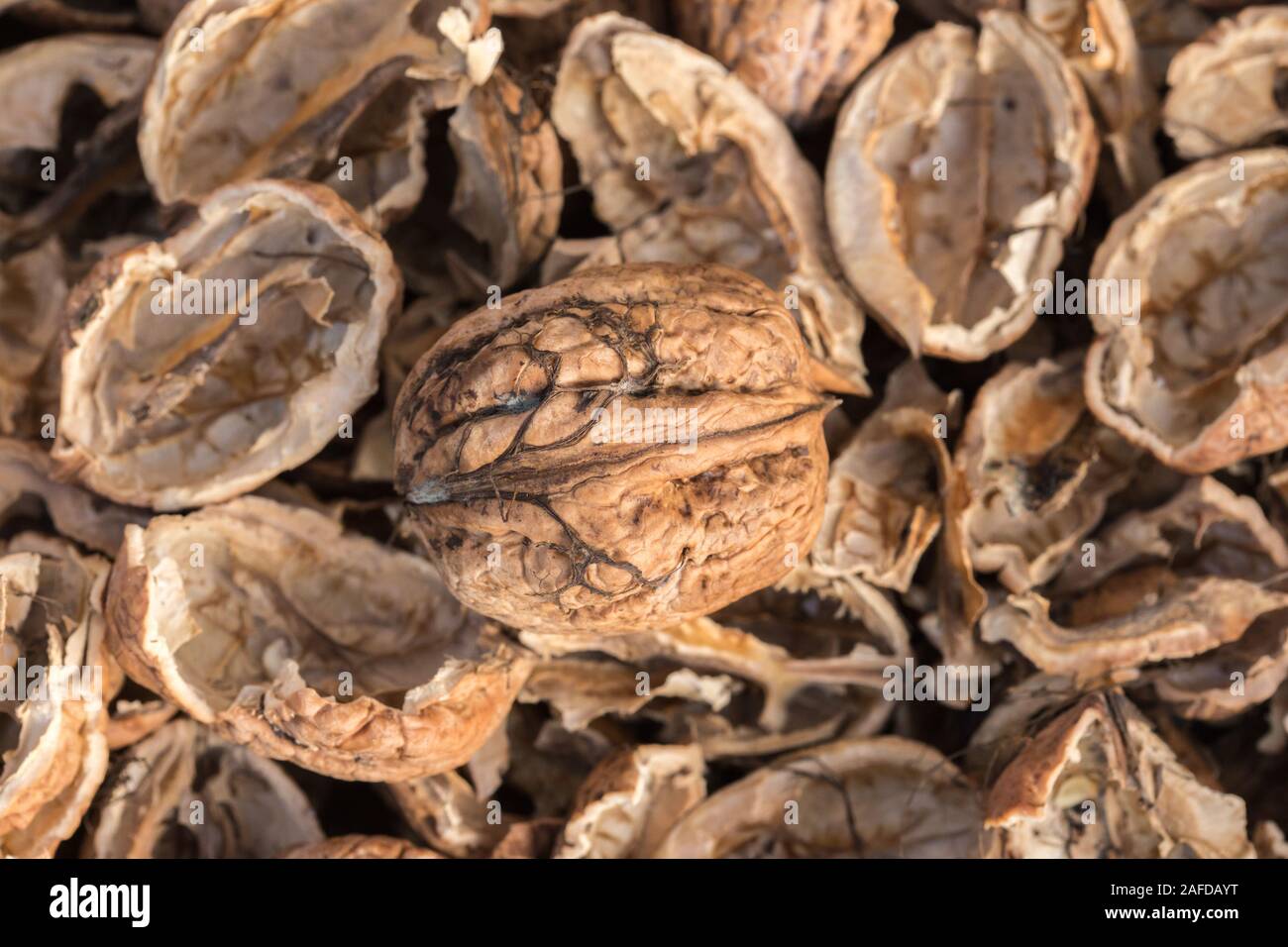 Walnut shells hi-res stock photography and images - Alamy