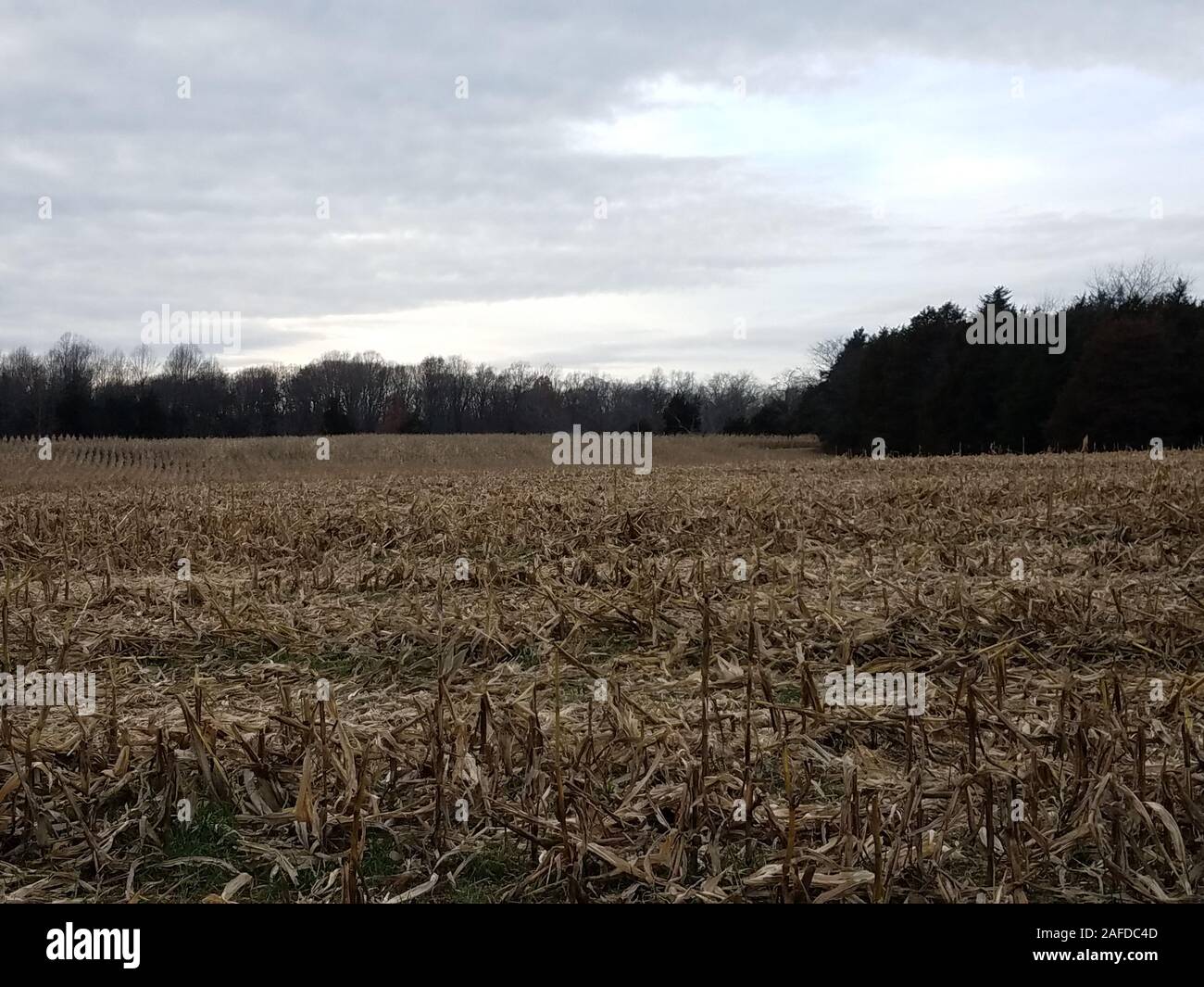 Farm with dead crops hi-res stock photography and images - Alamy