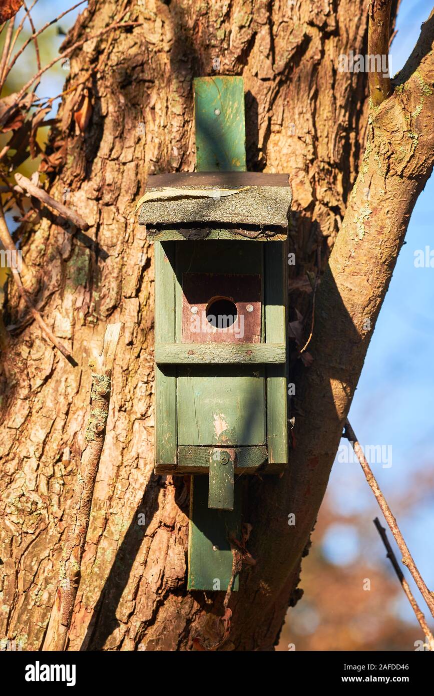 Bird Nest Box in Forest Stock Photo - Alamy