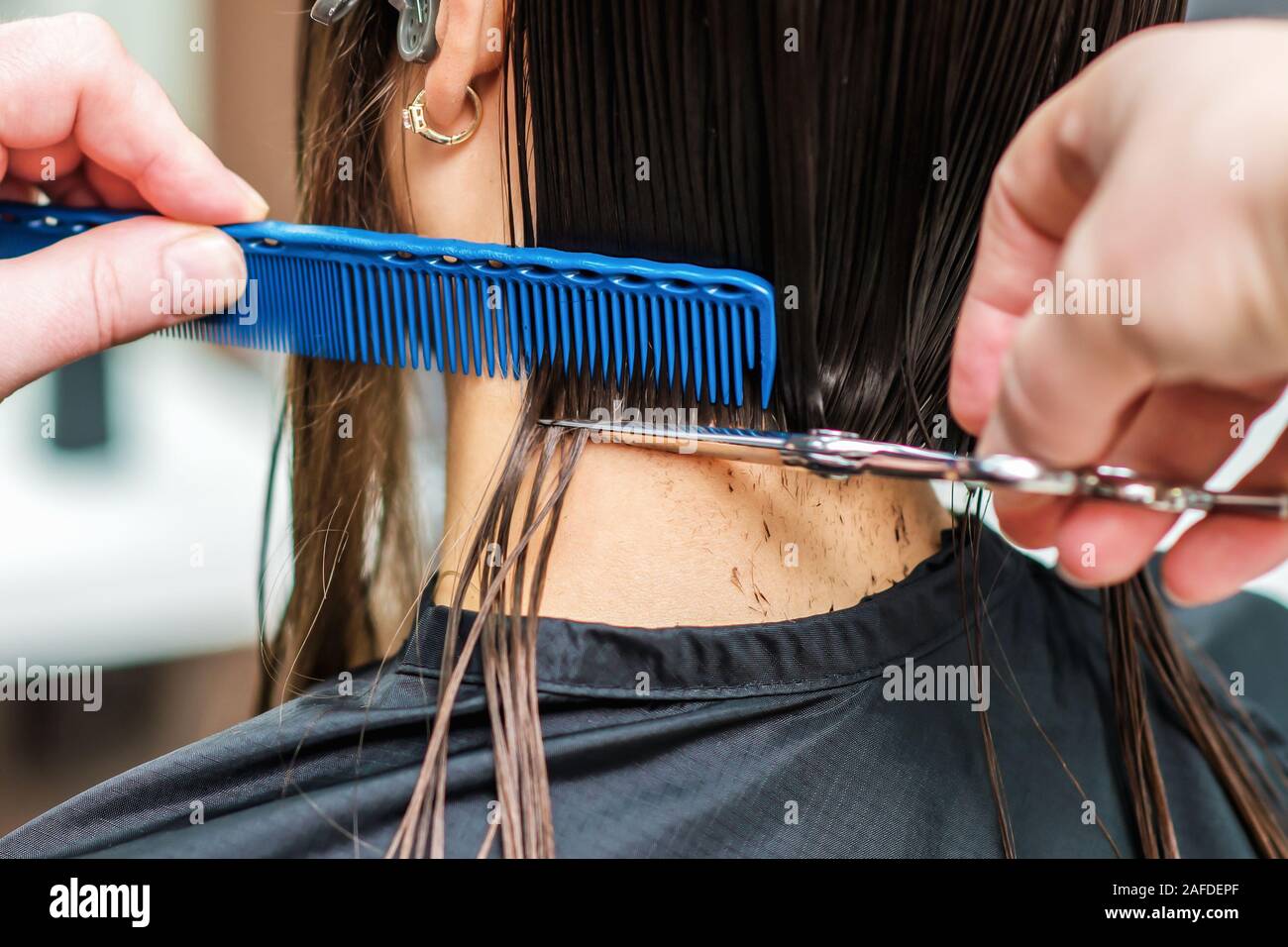 Professional stylist is cutting black hair of woman in hair salon ...