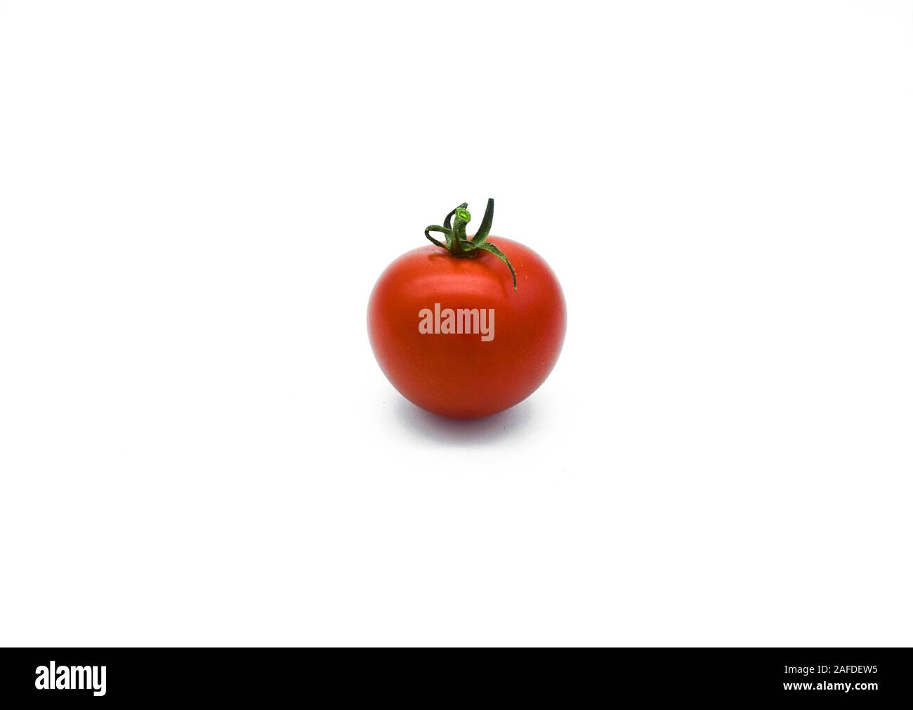 Tomato, one single red tomato isolated on white background Stock Photo ...