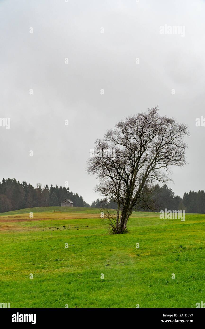 Alone fog one single hi-res stock photography and images - Alamy