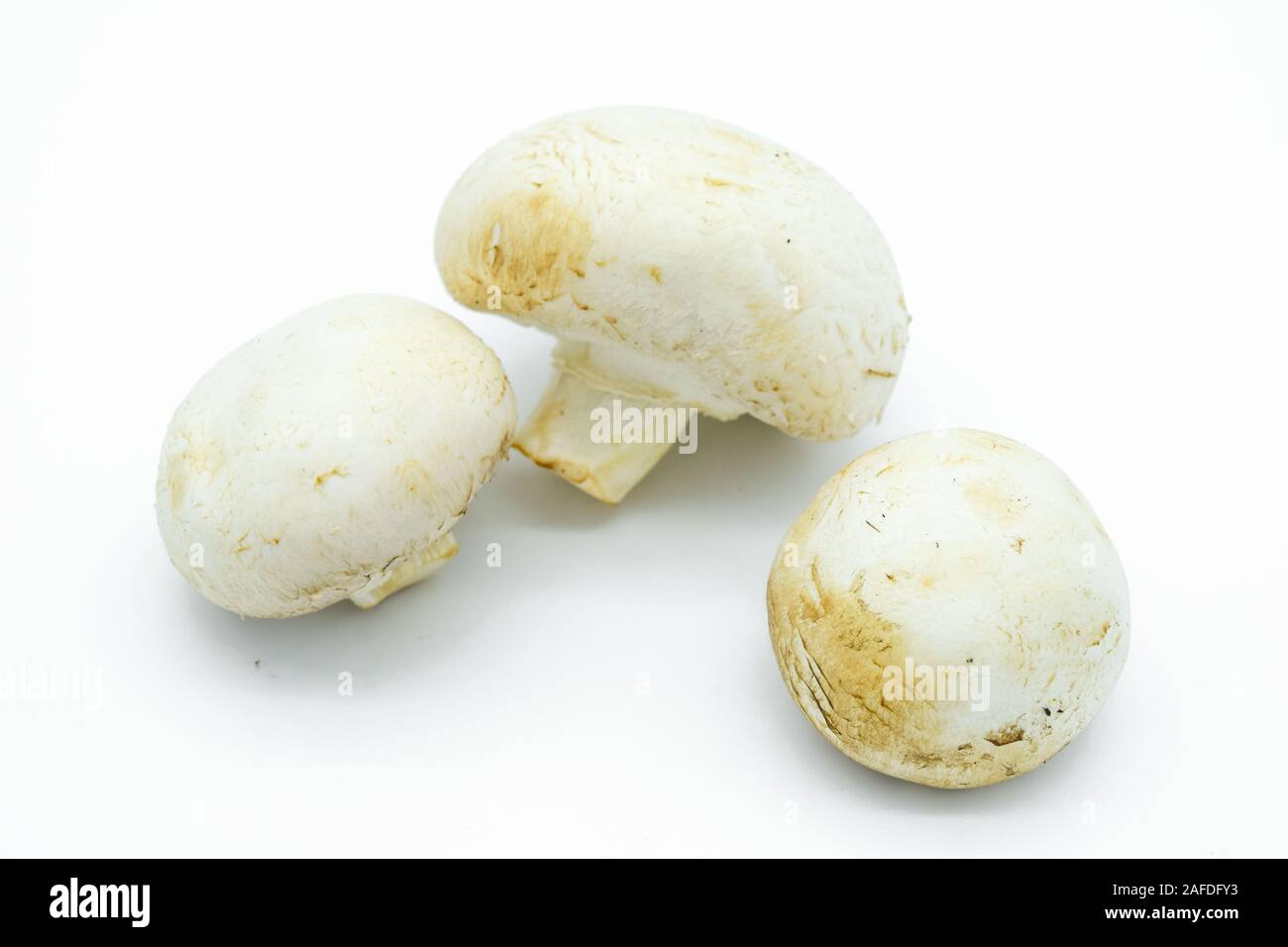 Champignon fresh uncooked mushrooms isolated on white background Stock ...