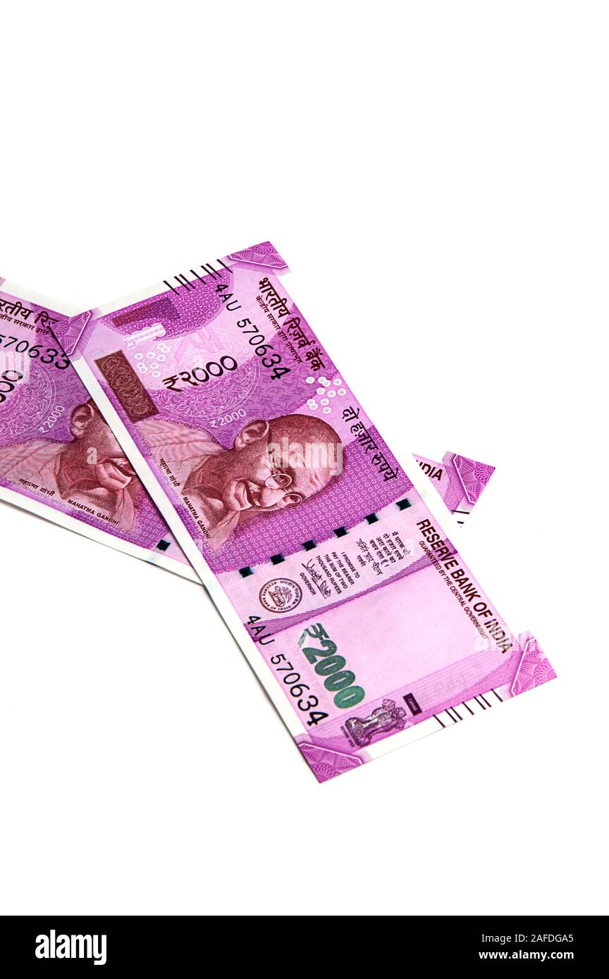 Indian rupee tree on white hi-res stock photography and images - Alamy