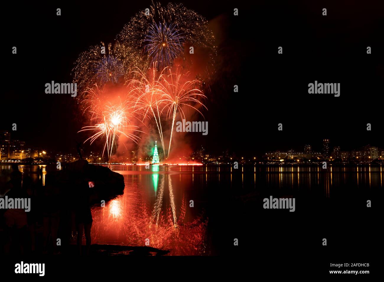 Floating tree in rio de janeiro hi-res stock photography and images - Alamy