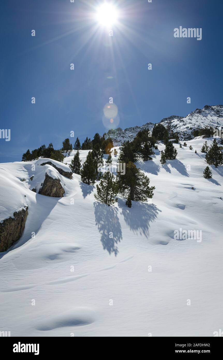 Winter nature landscape, amazing snow mountain view. Frosty day on ski ...