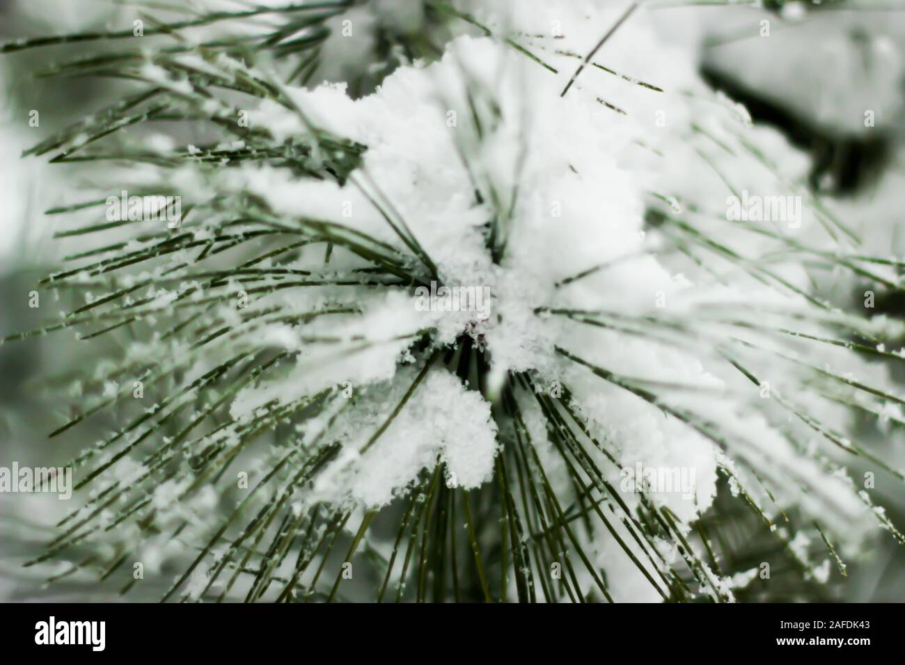 Cold needle hi-res stock photography and images - Alamy