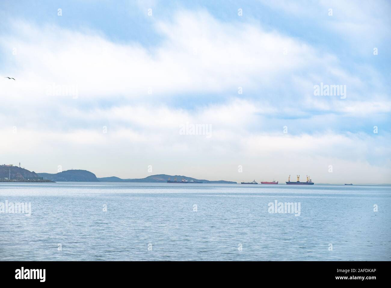Ship on the roadstead in the Amur Bay Stock Photo - Alamy