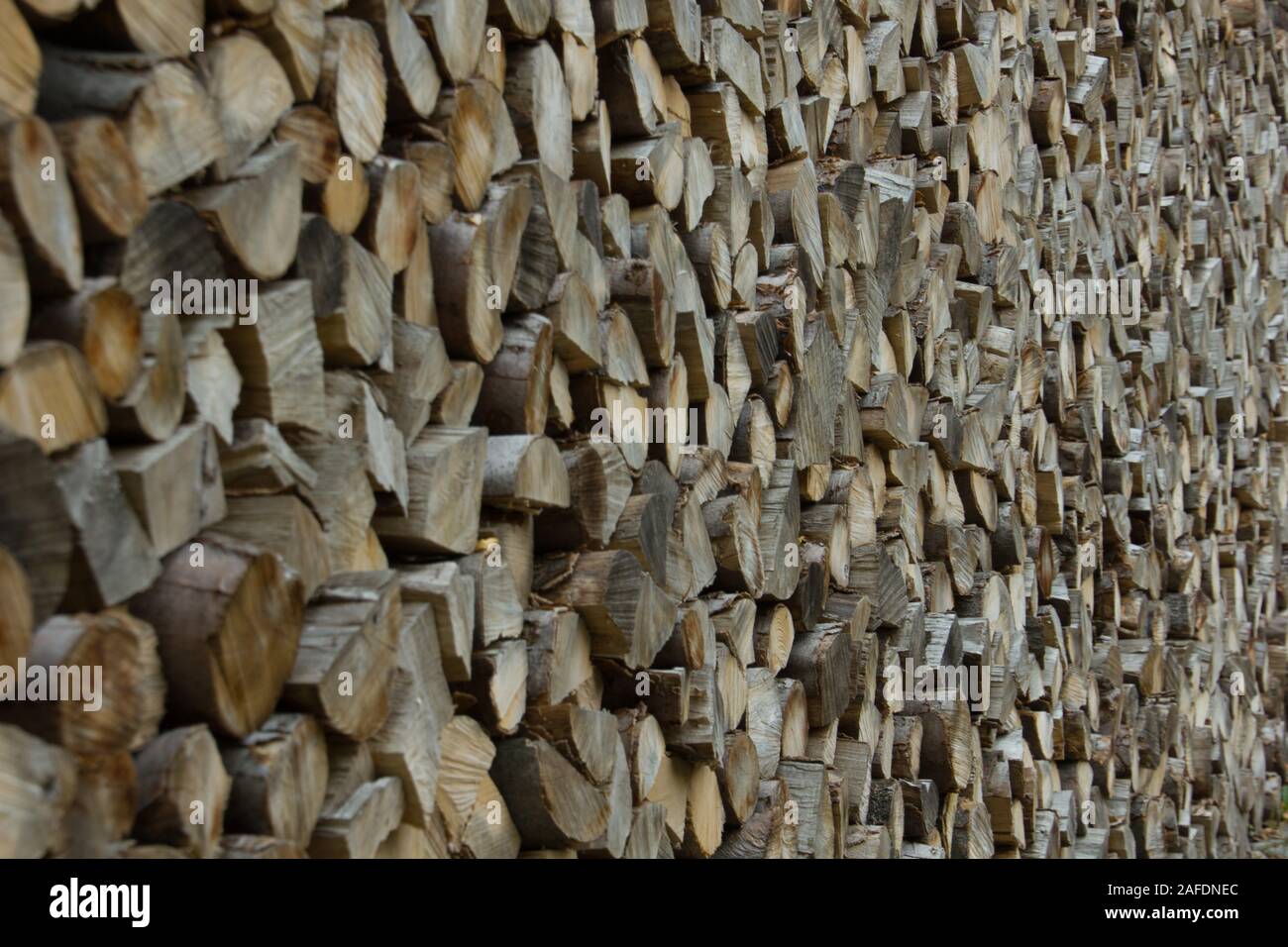 Pile of wood logs in perspective Stock Photo - Alamy