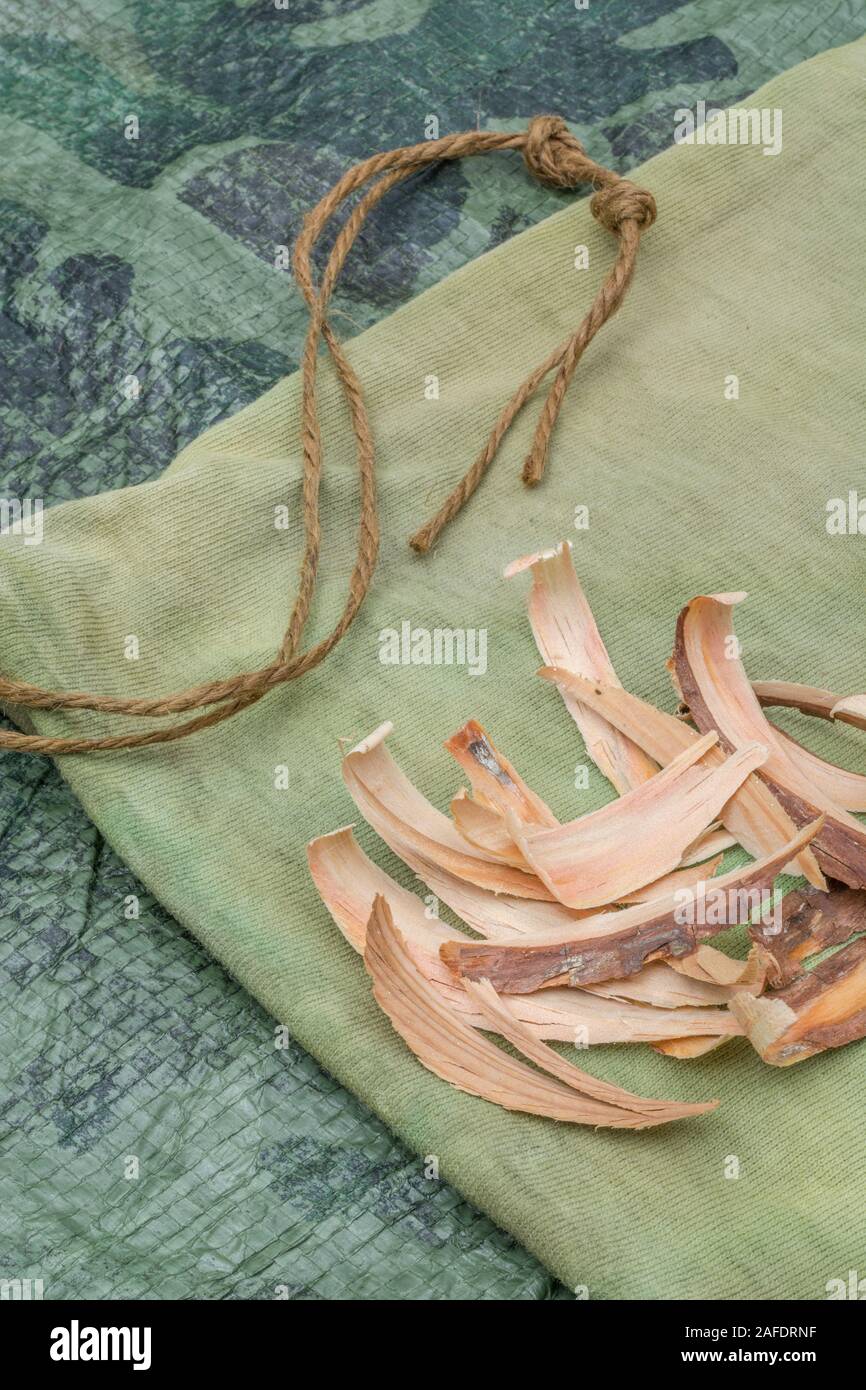 Fatwood tinder shavings from a Monteray Pine / Pinus radiata. Fatwood ...