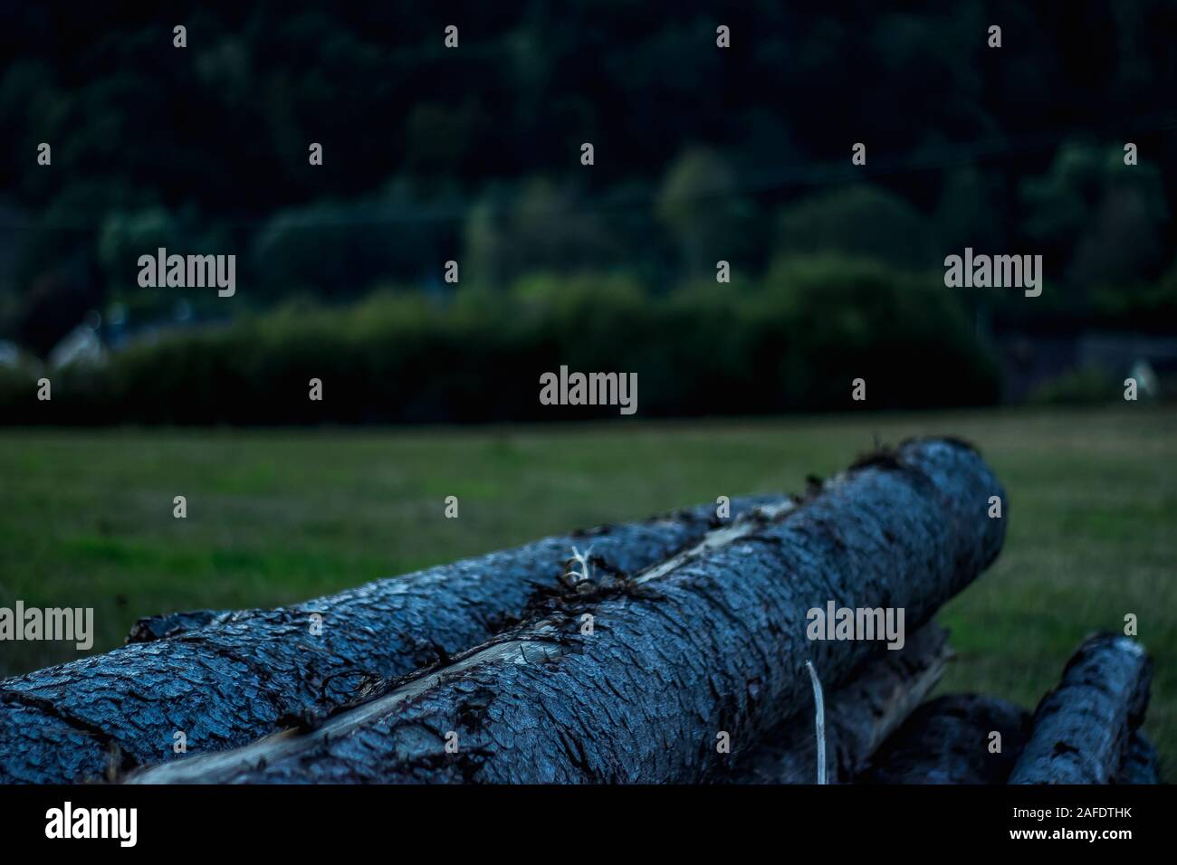 Shooting at tree hi-res stock photography and images - Alamy