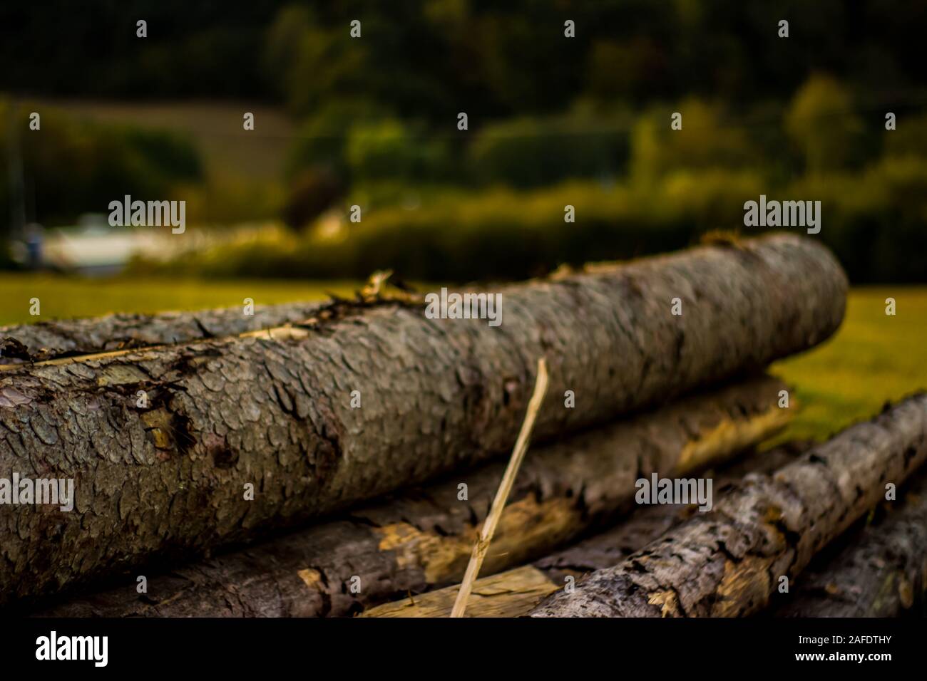 Shooting at tree hi-res stock photography and images - Alamy