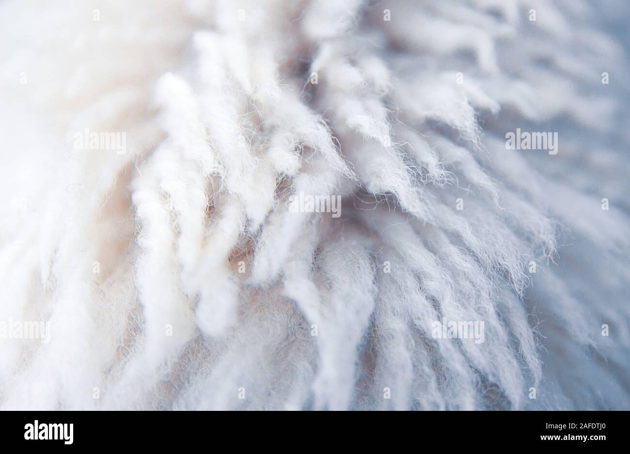 White wool texture background, cotton wool, white natural sheep wool ...