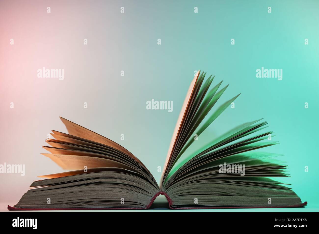 Close up Beautiful open old book pages in neon light. Minimalism retro ...
