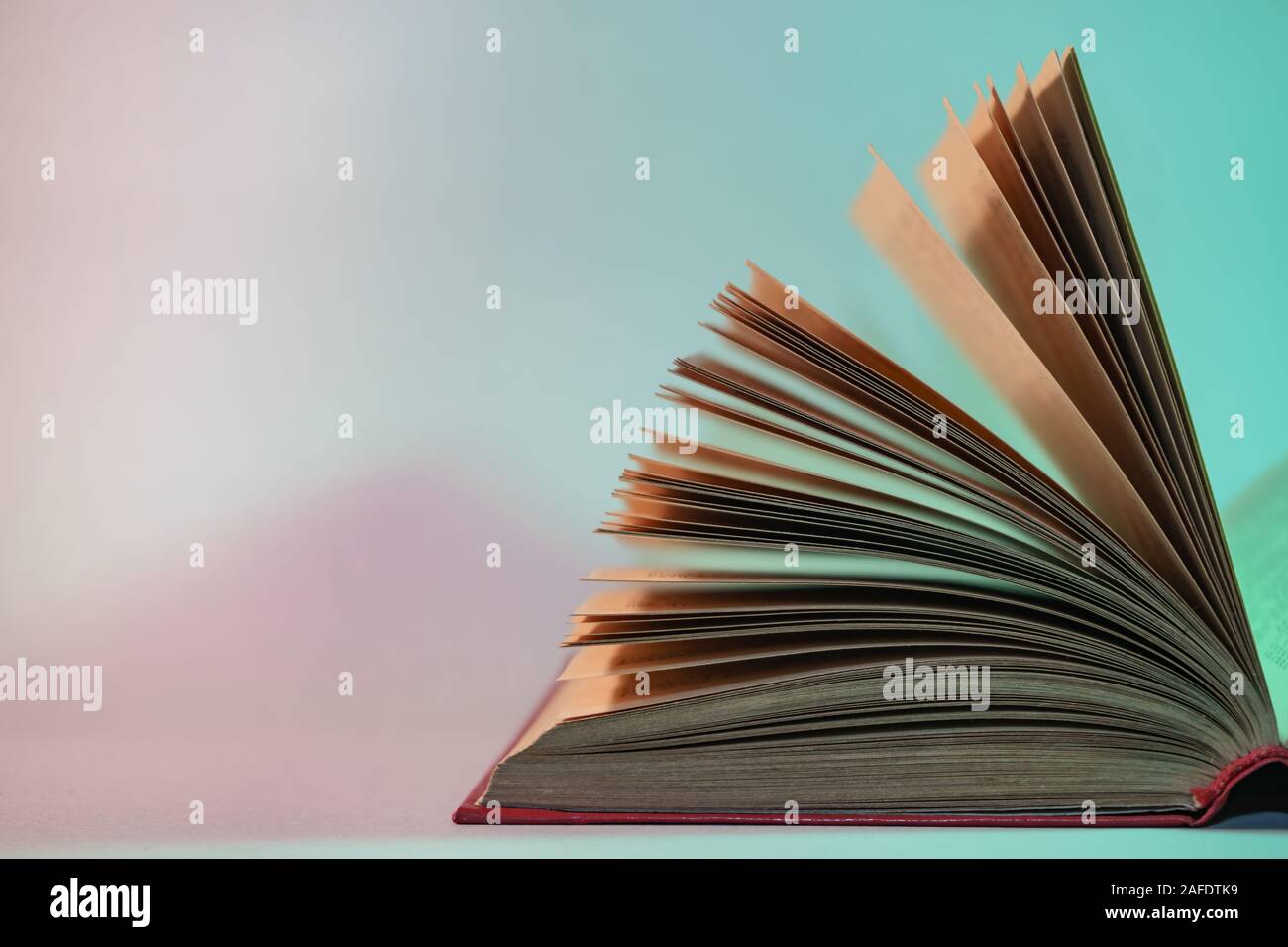 Beautiful open old book pages in neon light. Minimalism retro style ...