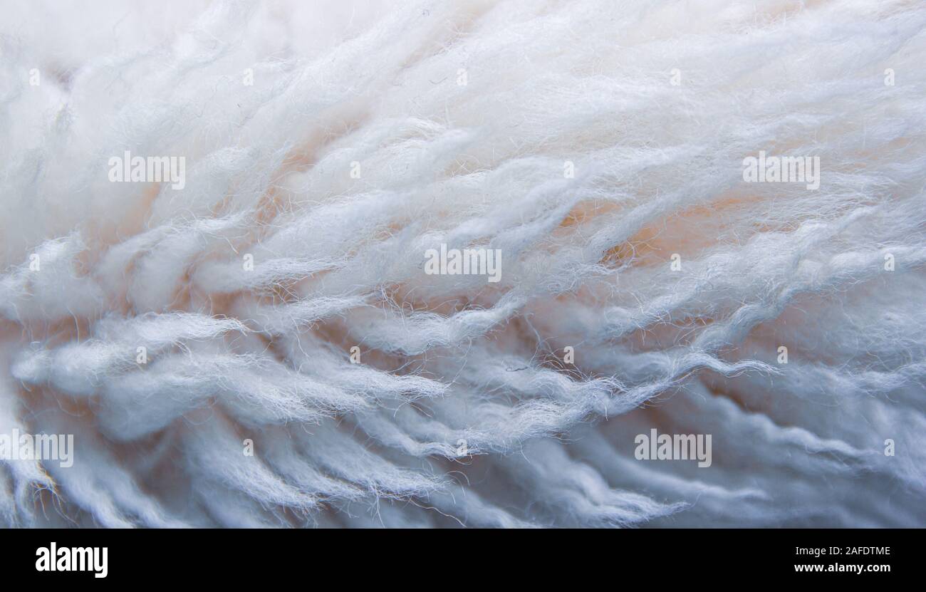 White wool texture background, cotton wool, white natural sheep wool ...
