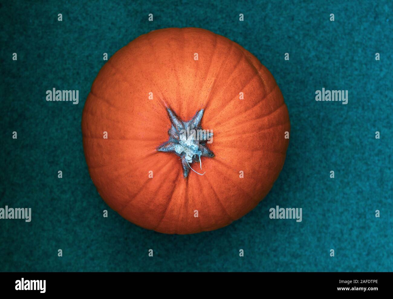 Big pumpkin, top view Stock Photo - Alamy