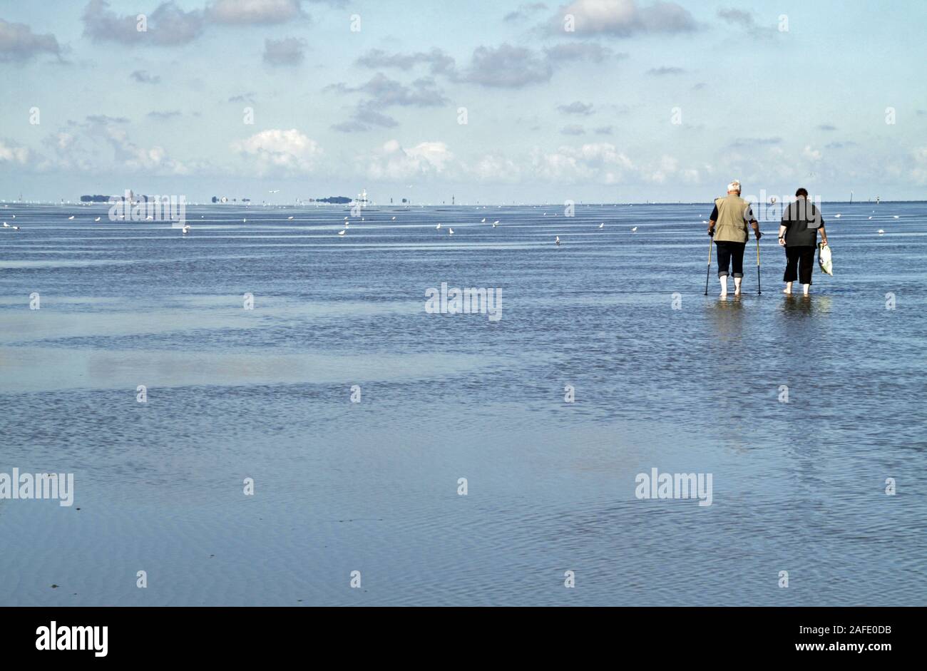 Wattwanderung hi-res stock photography and images - Alamy