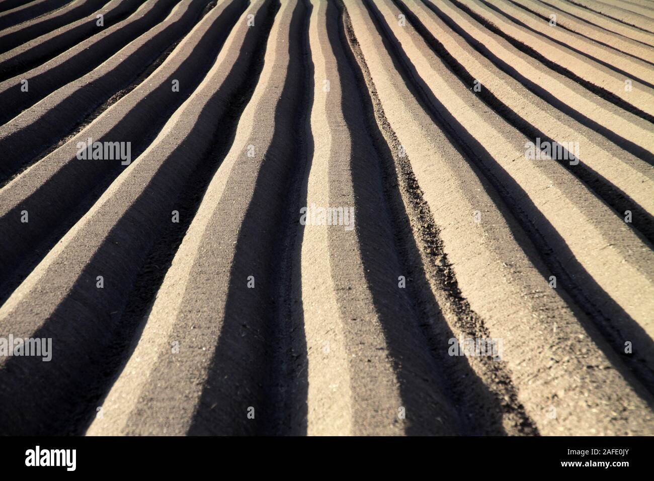 Ackerboden High Resolution Stock Photography and Images - Alamy