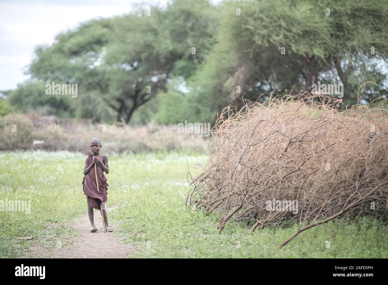 Same, Tanzania, 5th June, 2019: maasai kid in a nature of Northern ...