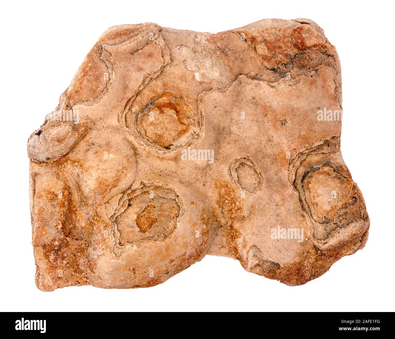 Dead sea beach Cut Out Stock Images & Pictures - Alamy