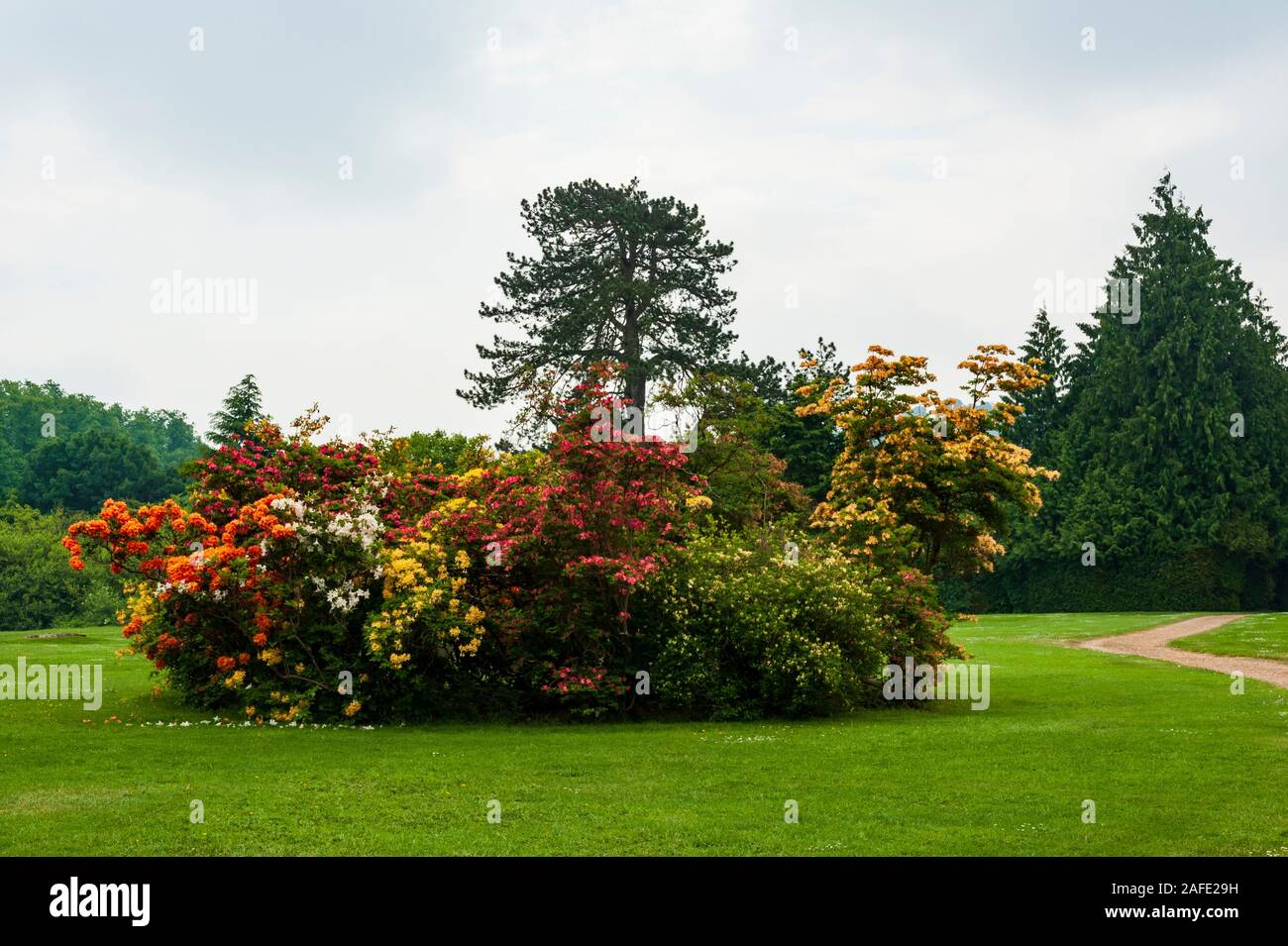 Beautiful garden around Highclere Castle, a Jacobethan style country ...