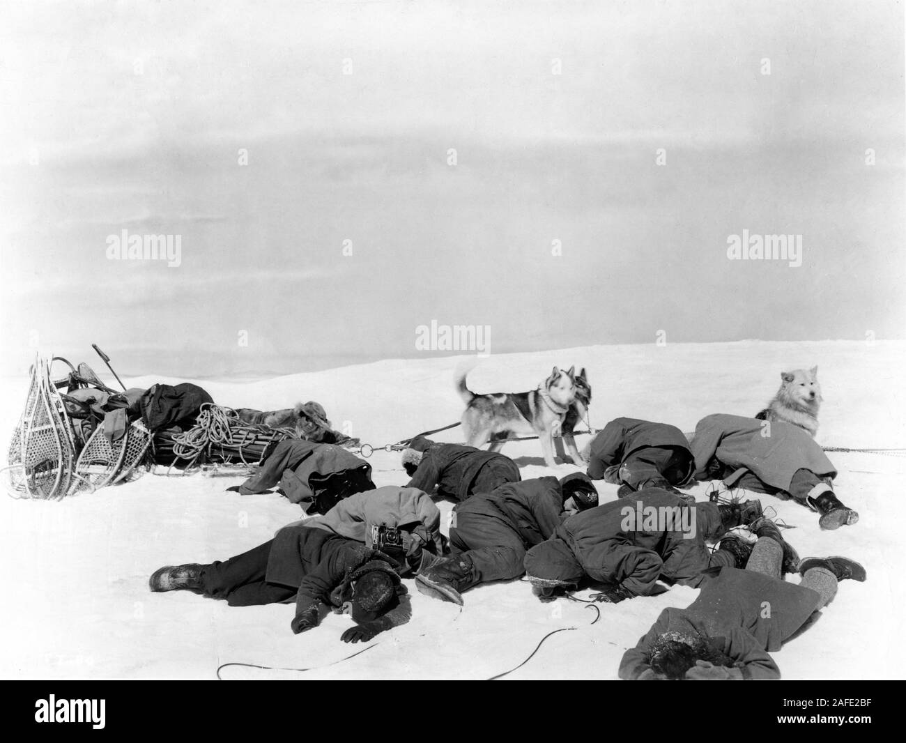 Arctic Snow scene with Husky Dogs from THE THING From Another World ...