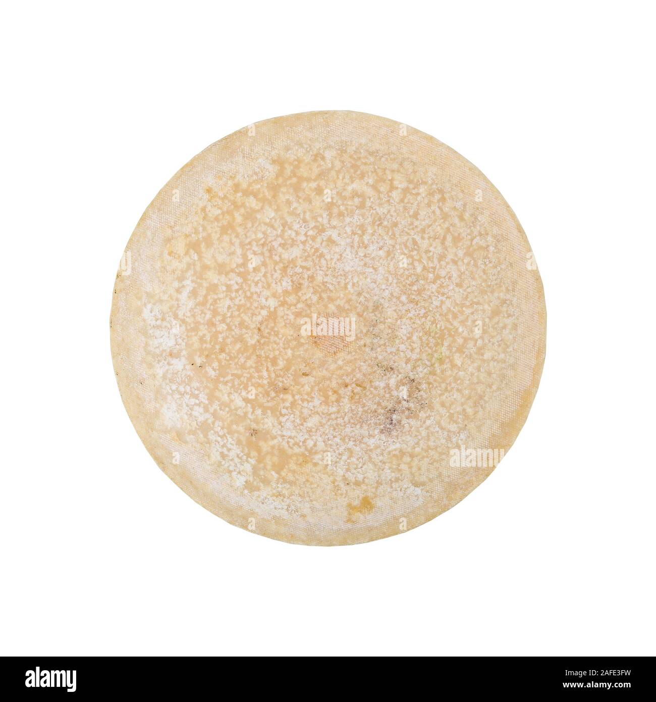 Cheese wheel isolated on white background. head cheese editorial ...
