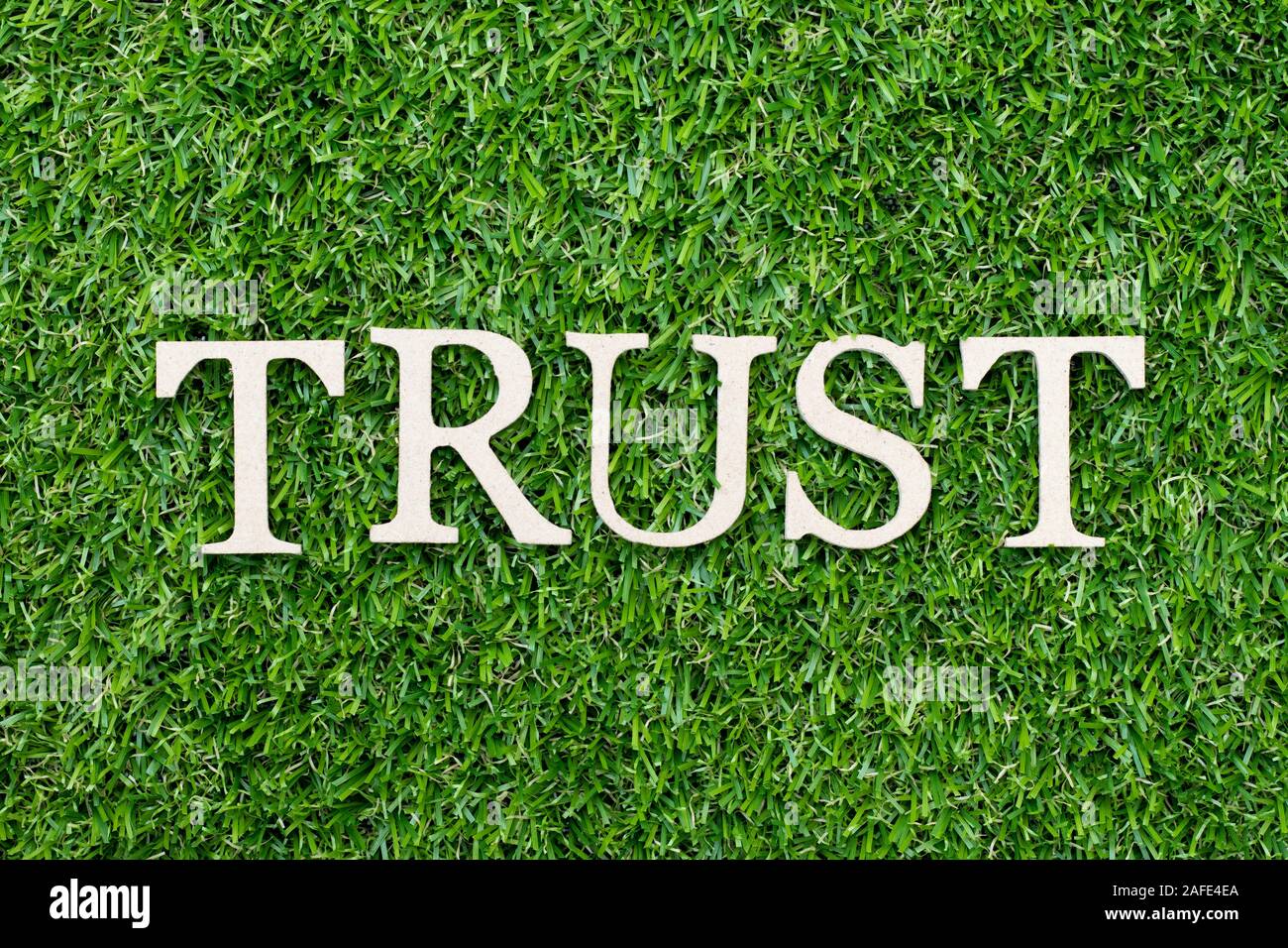 Wood alphabet letter in word trust on green grass background Stock ...