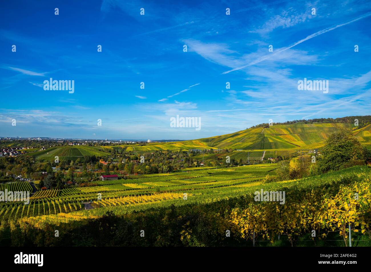 Stuttgart city forest in autumn hi-res stock photography and images - Alamy