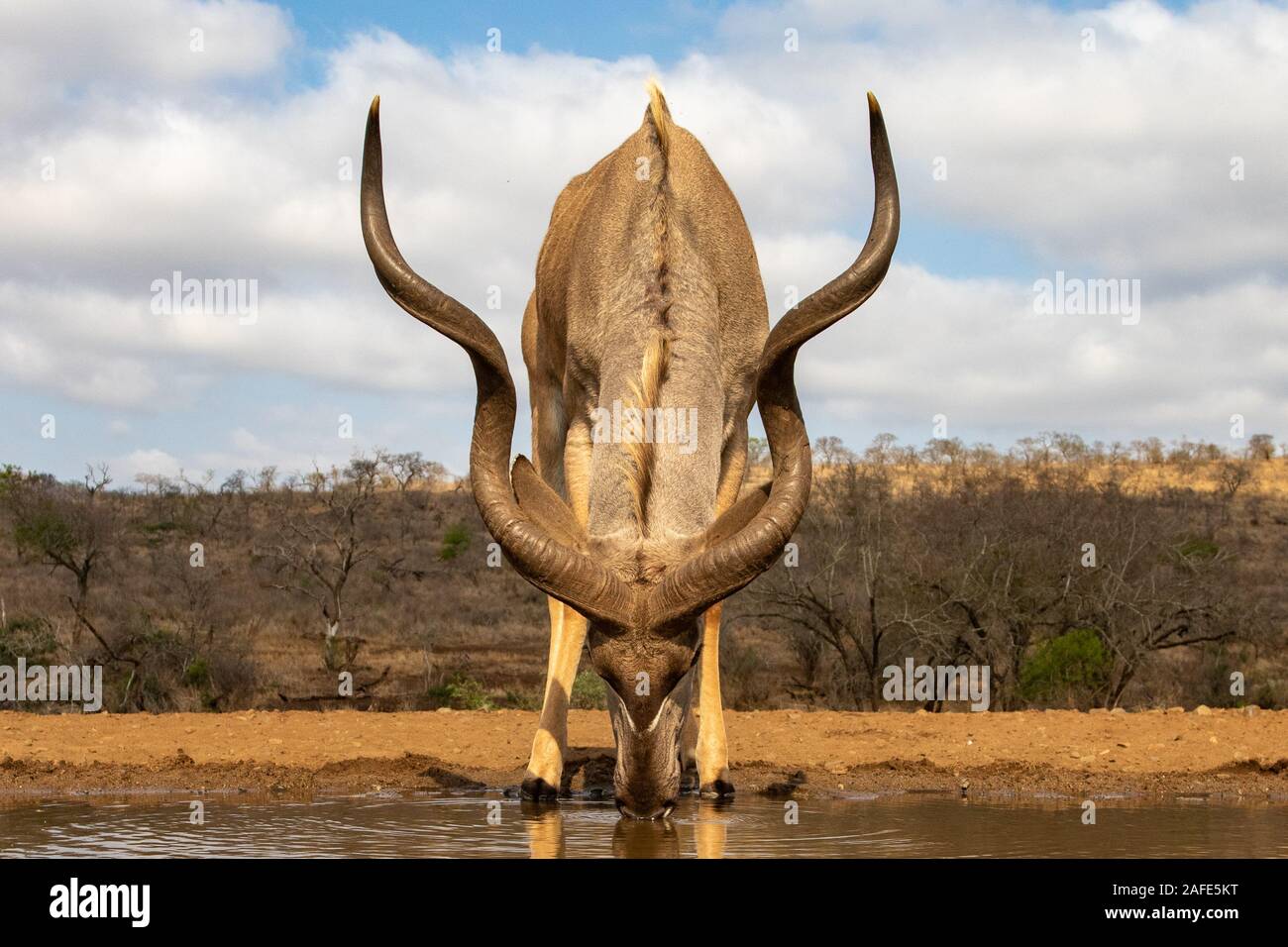 Frog perspective view hi-res stock photography and images - Alamy