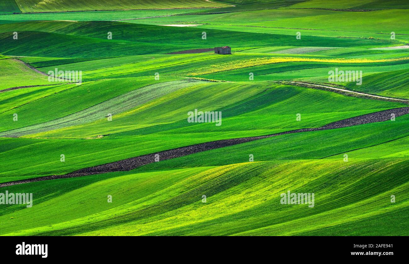 Apulia countryside view, rolling hills, green fields landscape and ...