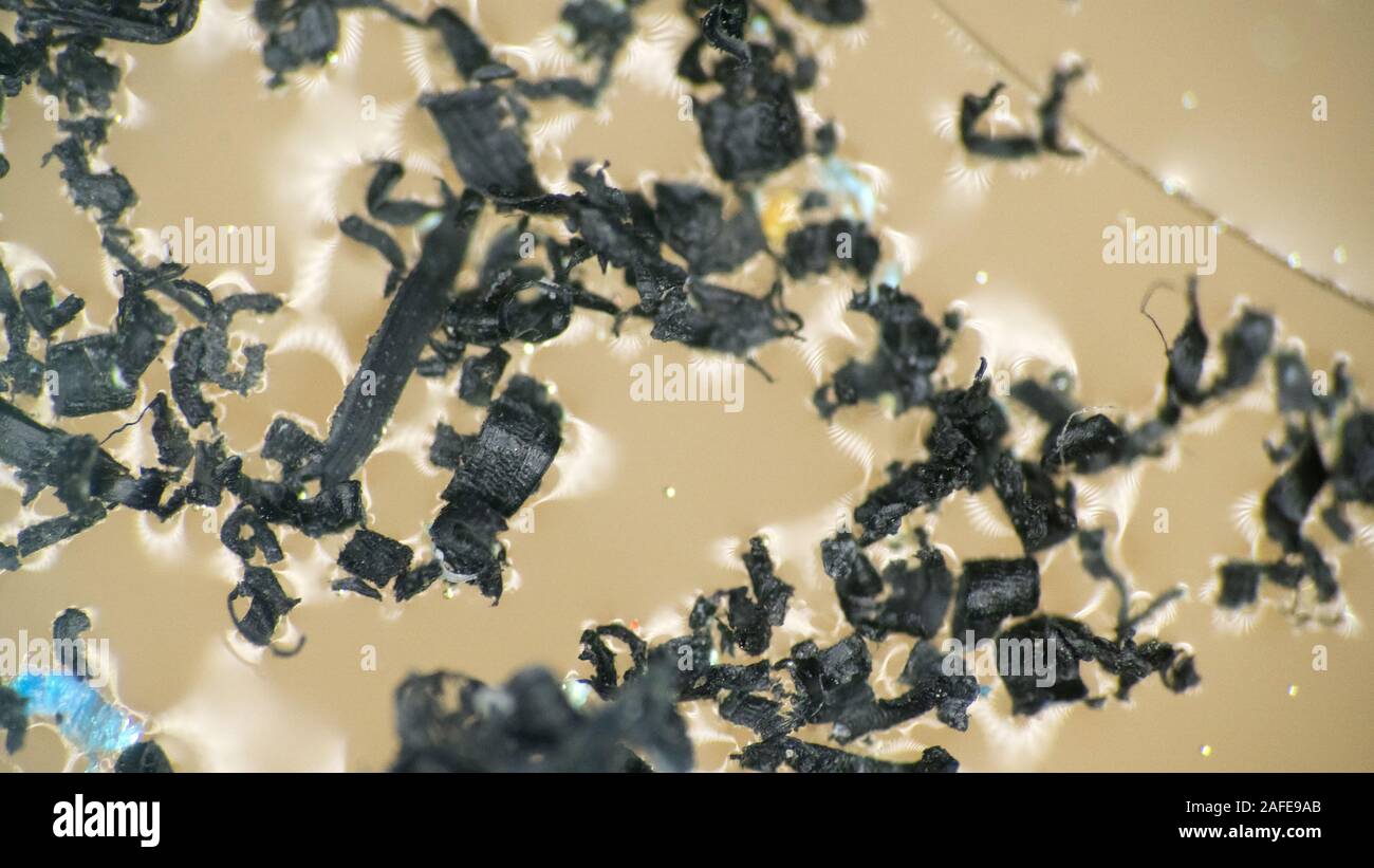 Small particles of plastic stick together in water in fragile fields ...