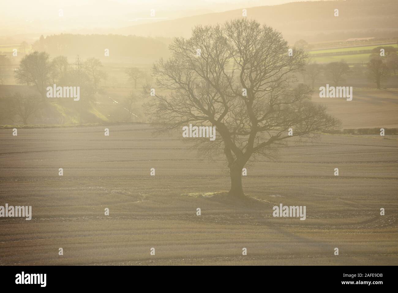 Nottinghamshire Landscape In Winter,UK Stock Photo - Alamy