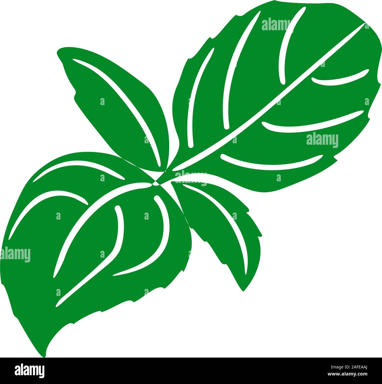 basil cartoon isolated flat on white background Stock Vector Image ...