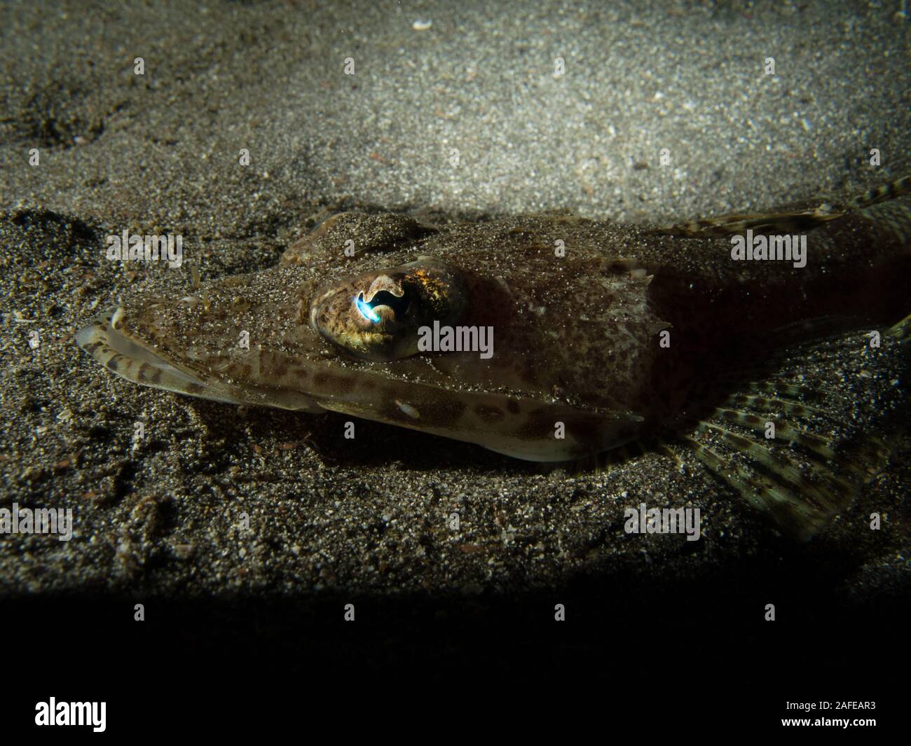 Traveling Banda Sea, Indonesia Stock Photo - Alamy
