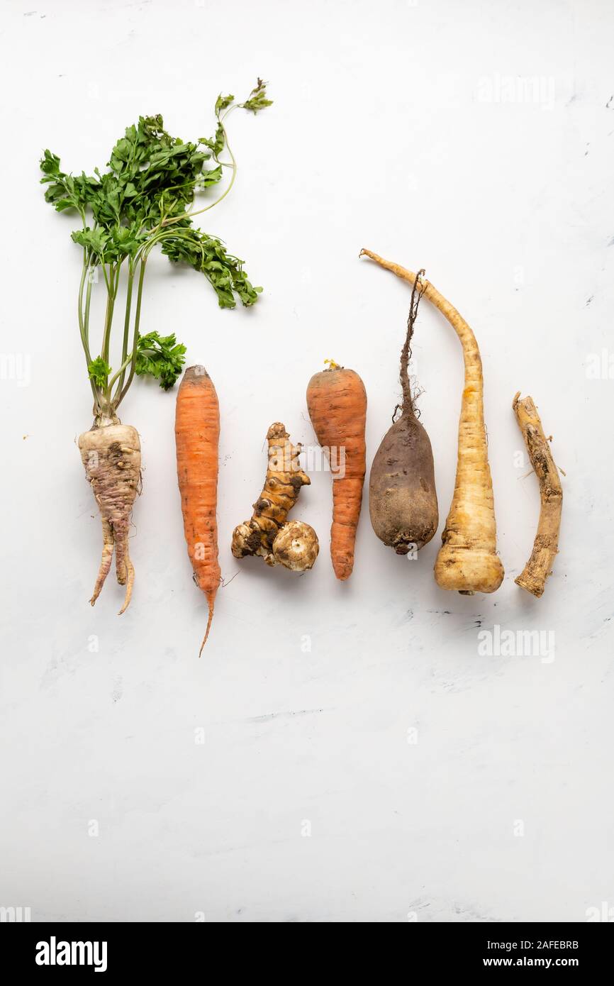 Roots set on white background Stock Photo - Alamy