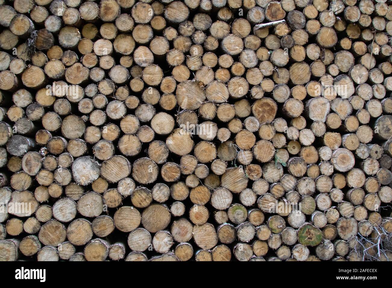 Wooden log wall Stock Photo - Alamy