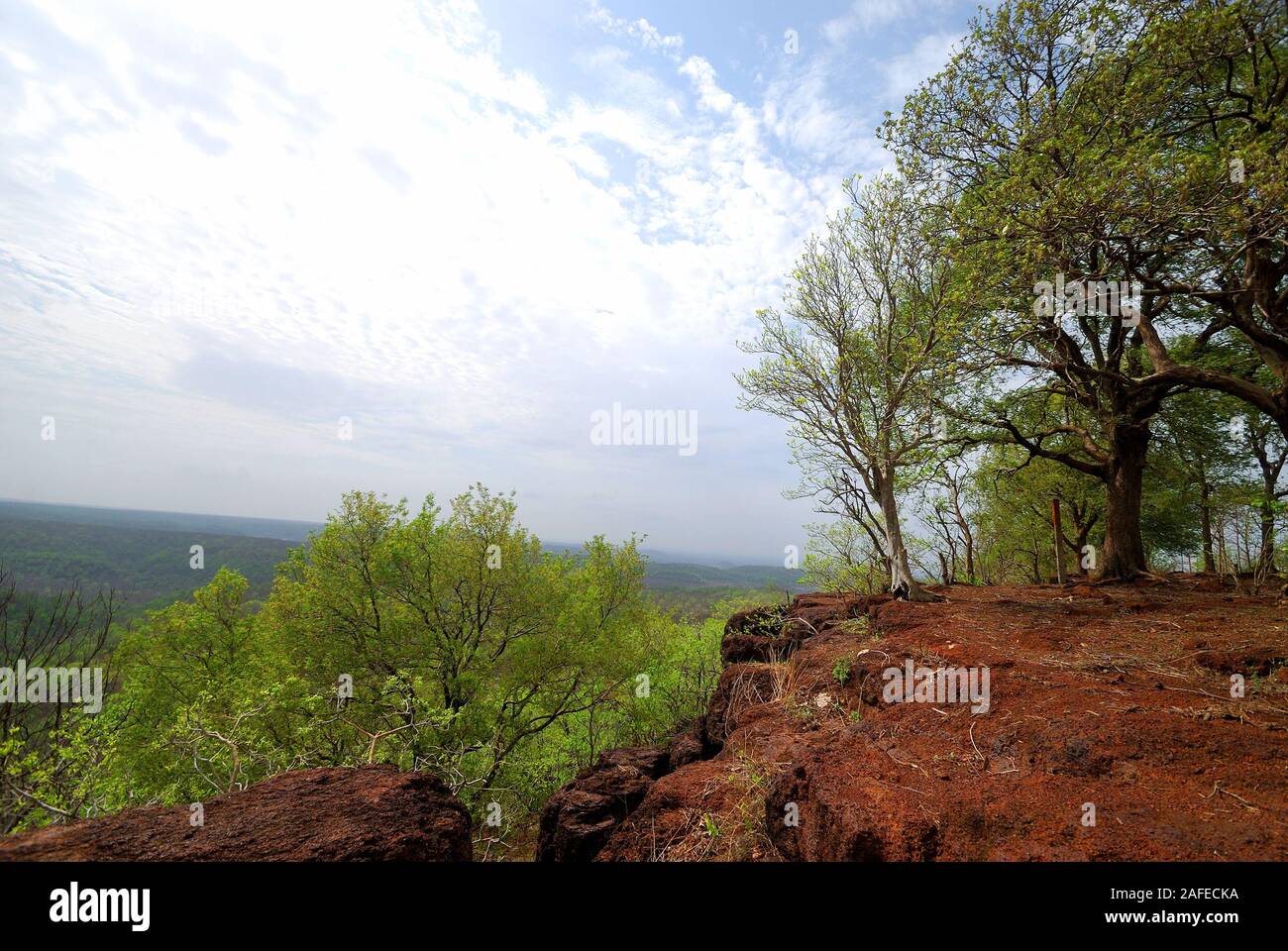 Beautiful Landscape with trees Stock Photo - Alamy