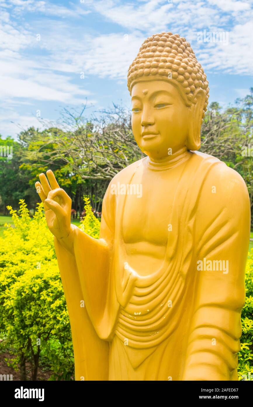 Tien chen hi-res stock photography and images - Alamy