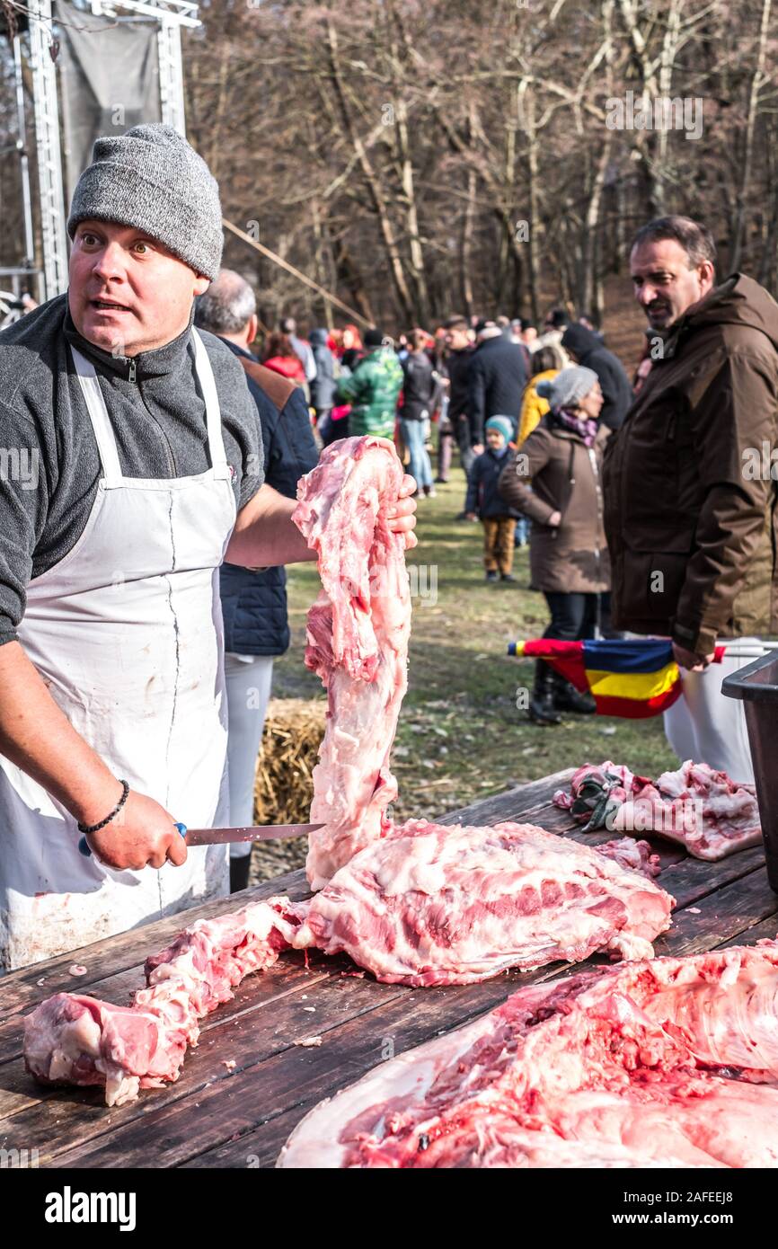 Sibiu, Romania - December 14, 2019. Butchers slaughtering a pig ...