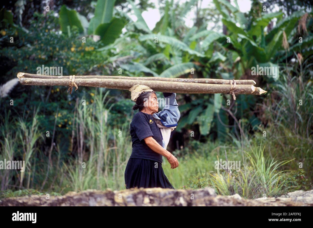 Old woman carrying wood hi-res stock photography and images - Alamy