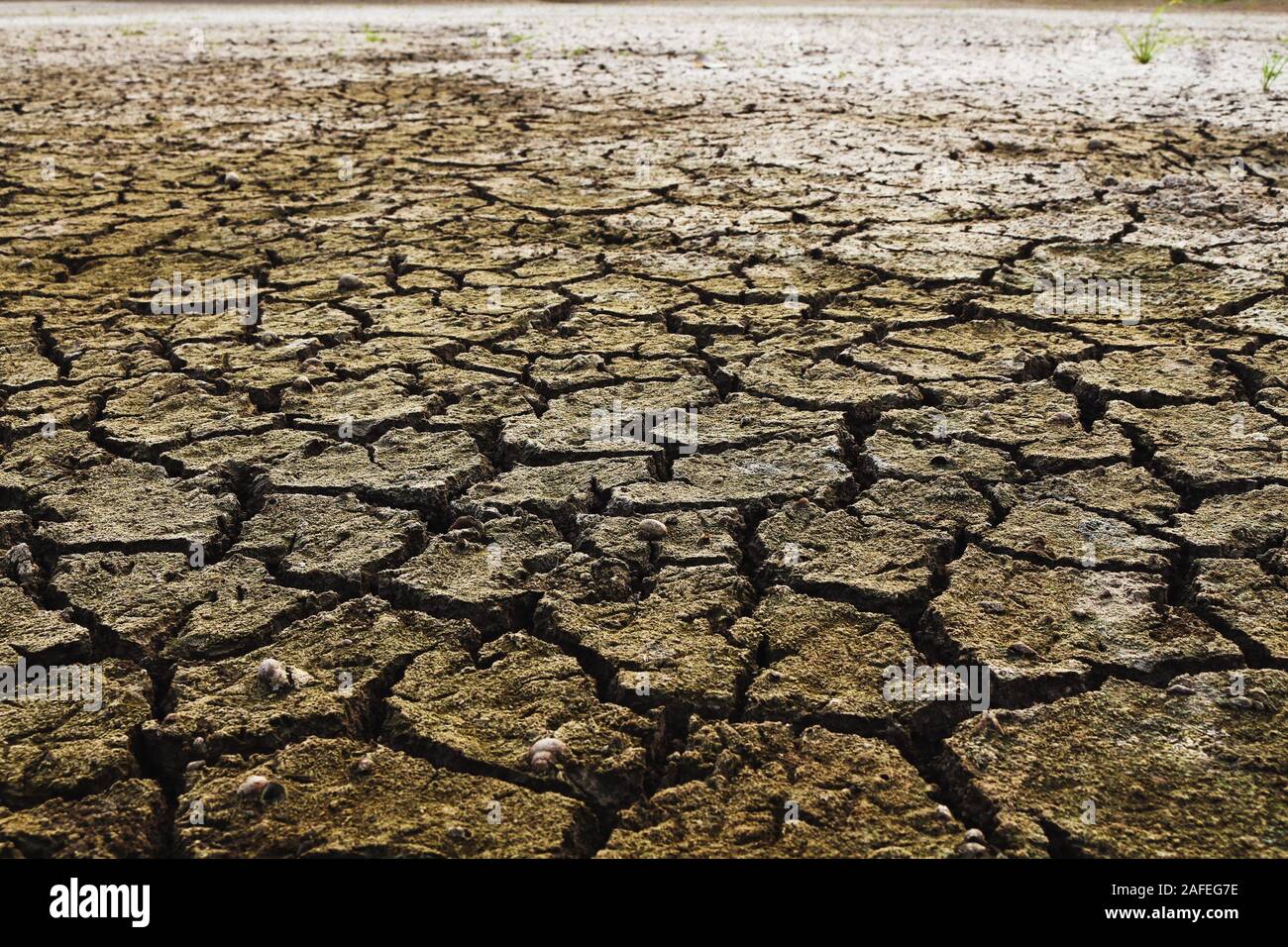 Arid soil hi-res stock photography and images - Alamy