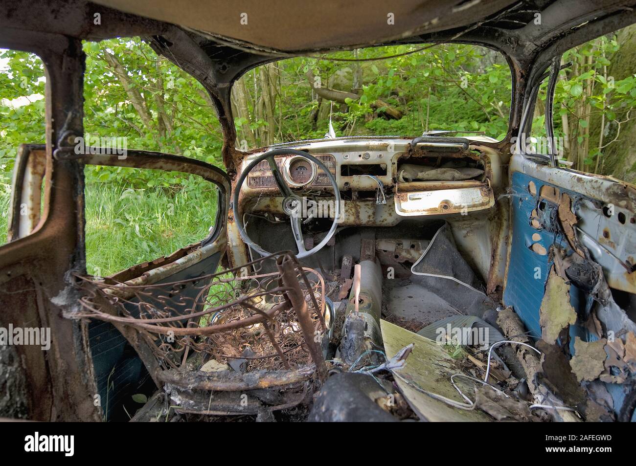 Wrecked Volkswagen left in the forest Stock Photo - Alamy