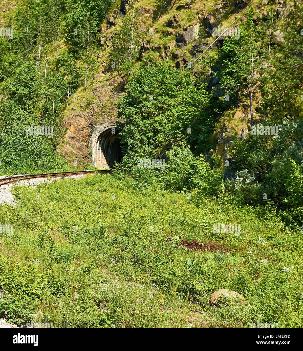 Train entering railroad tunnel hi-res stock photography and images - Alamy
