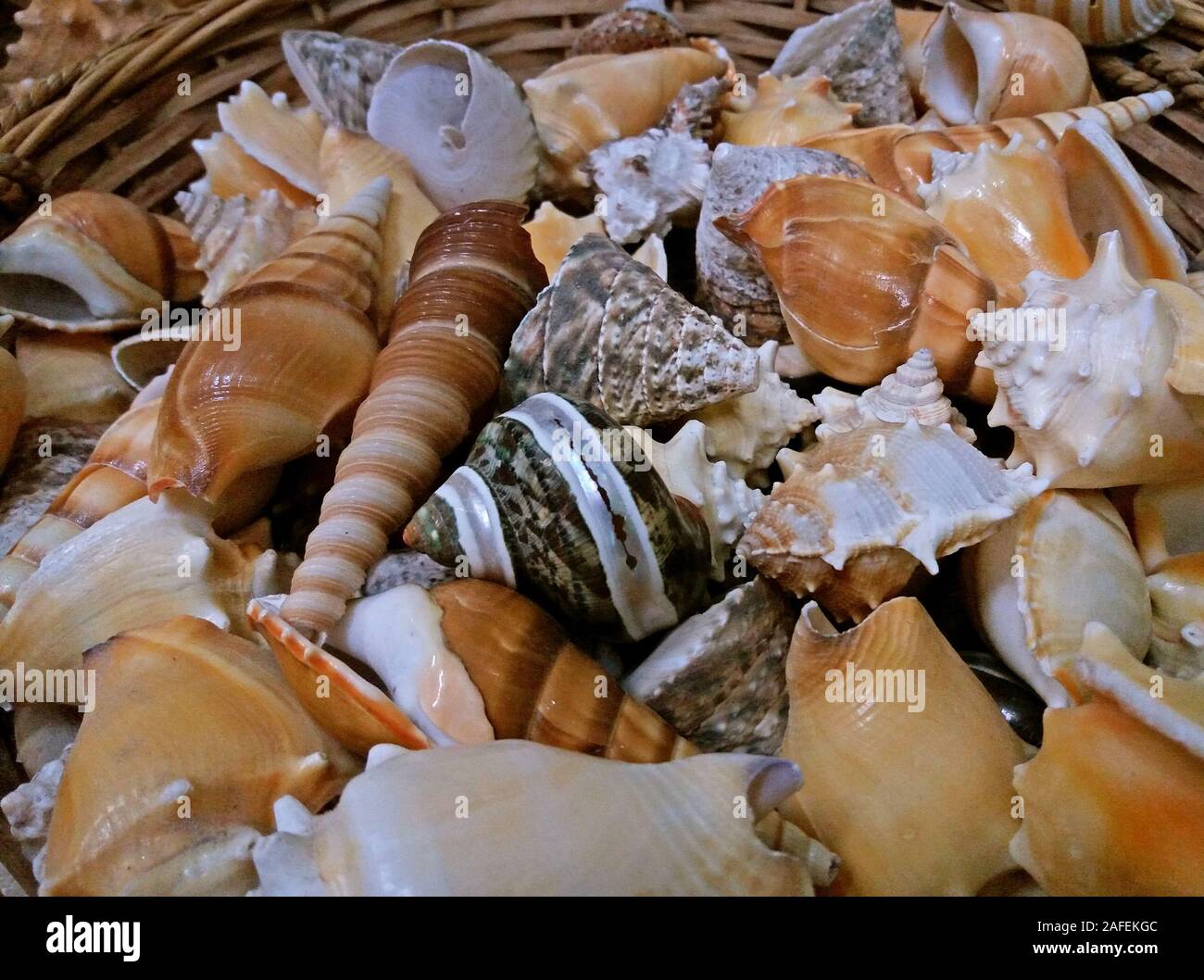 Sea Shells Sale Greece High Resolution Stock Photography and Images - Alamy