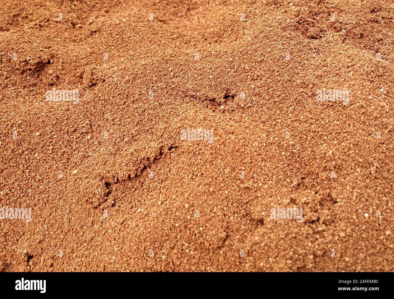Ground texture hi-res stock photography and images - Alamy