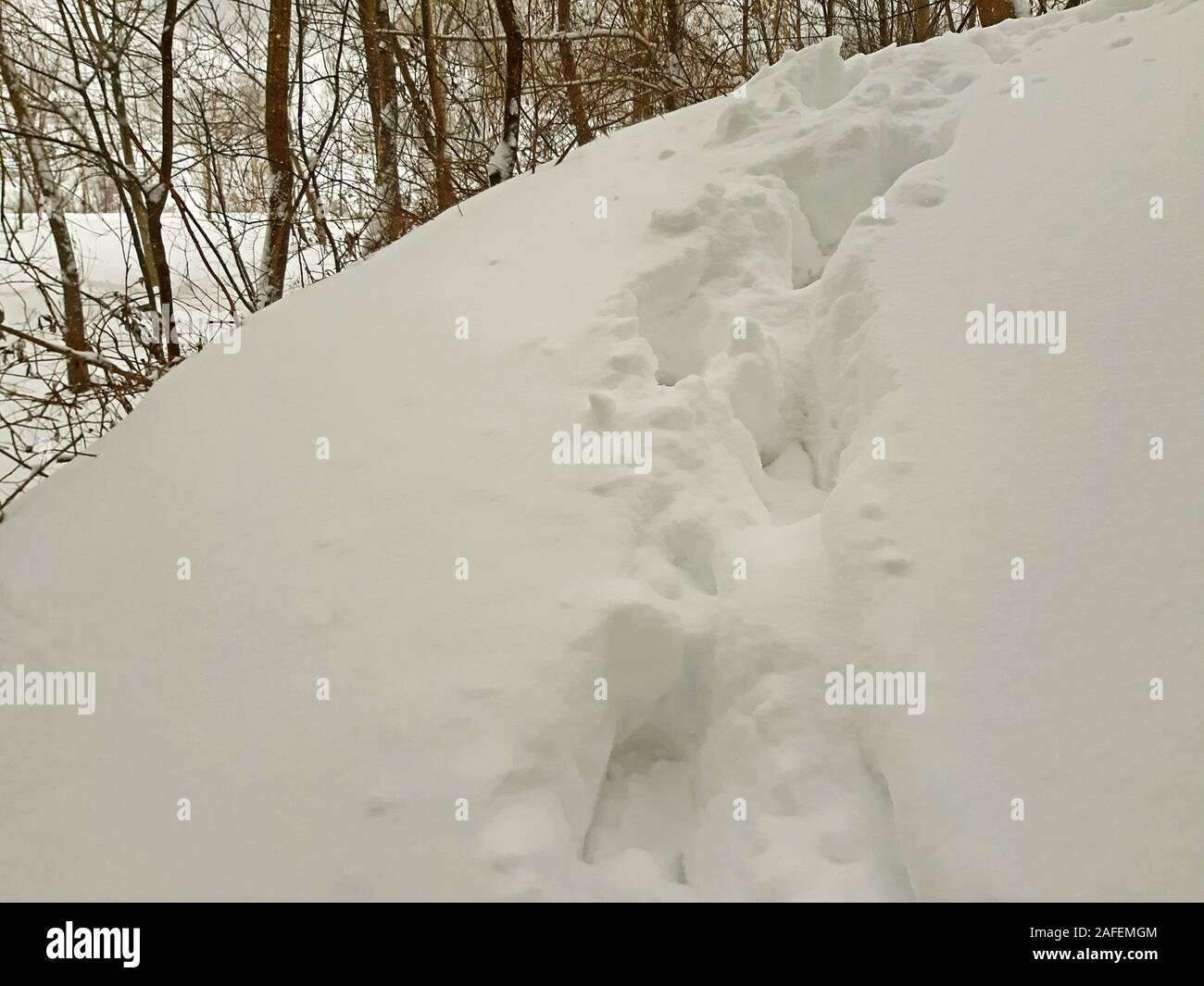 Human footprints in winter hi-res stock photography and images - Alamy