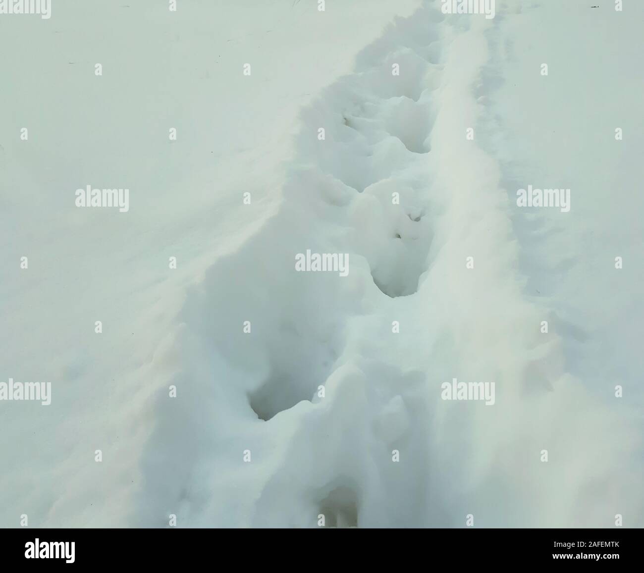Snowy path with human footprints hi-res stock photography and images ...